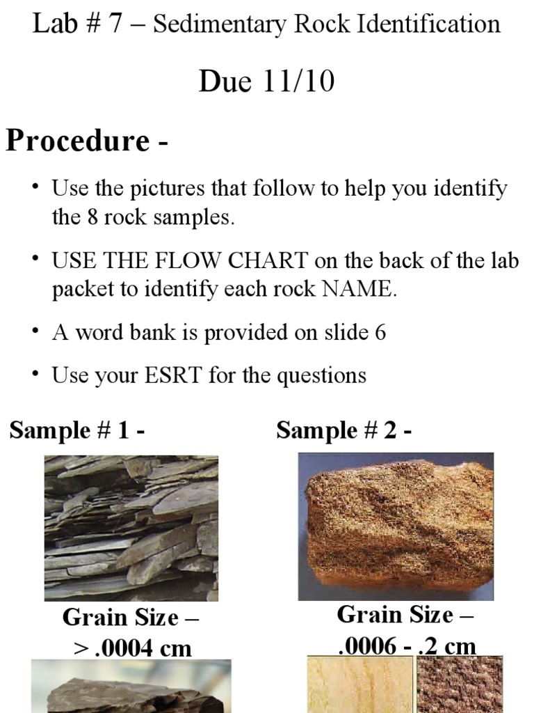 sedimentary_rock_lab_classnotes | PDF | Clastic Rock | Sedimentary Rock