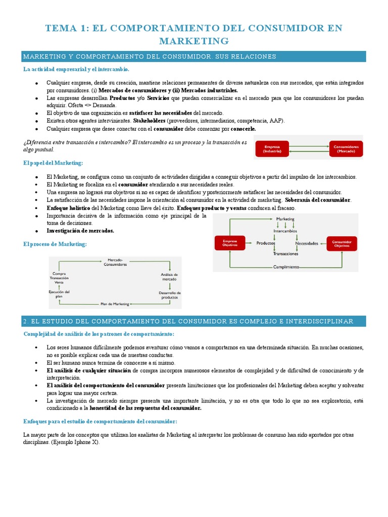 Comportamiento Del Consumidor | PDF | Marketing | Comportamiento