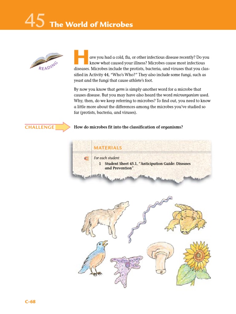 The World of Microbes 45 | PDF | Microorganism | Bacteria