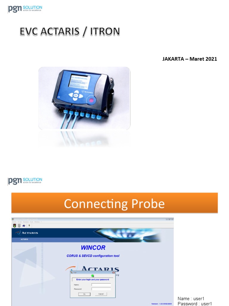 Actaris | PDF | Computer Engineering | Computer Science