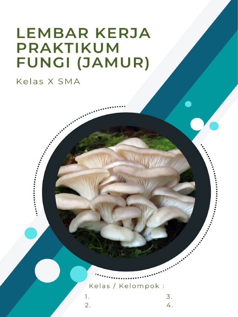 Lembar Kerja Praktikum Fungi | PDF