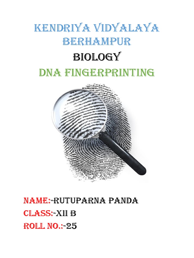 Dna Fingerprinting Bio Project | PDF | Dna Profiling | Dna