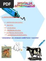 Sesion de Animales Salavjes de 3 Años | PDF | Aprendizaje | Evaluación