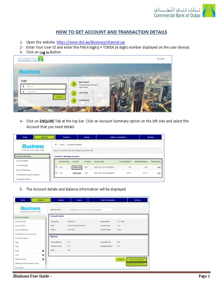 How To Get Account and Transaction Details | PDF | Finance & Money ...