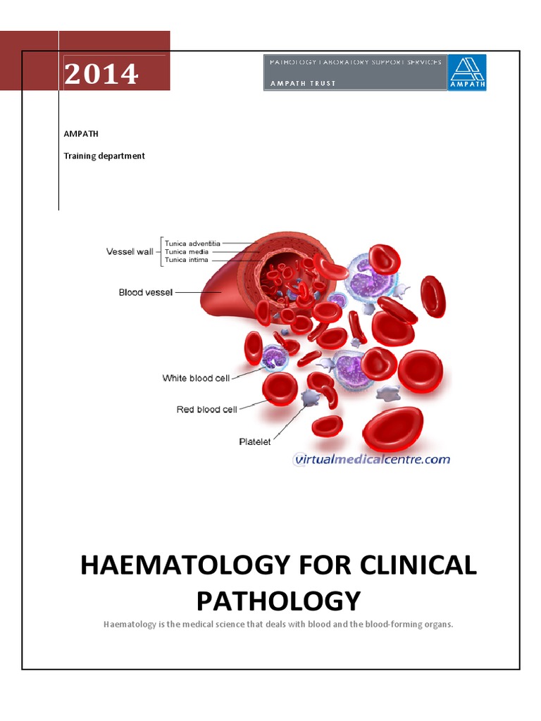 Haematology Training Guide for Pathology | PDF | Haematopoiesis | T Helper Cell
