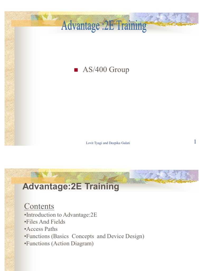 An Introduction to File and Field Definitions in Advantage:2E | PDF ...