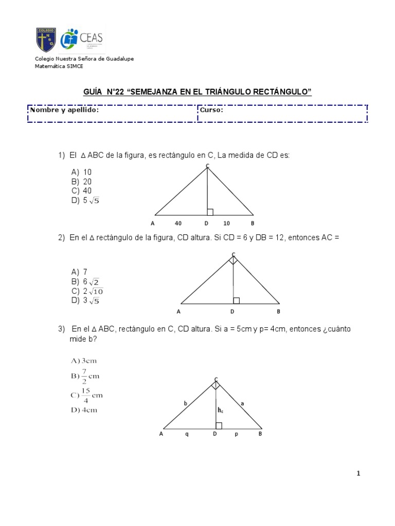 22_Semejanza en el Triángulo rectángulo | PDF | Triángulo | Matemática ...
