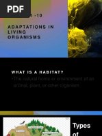 Aerial Adaptations | PDF | Habitat | Plants