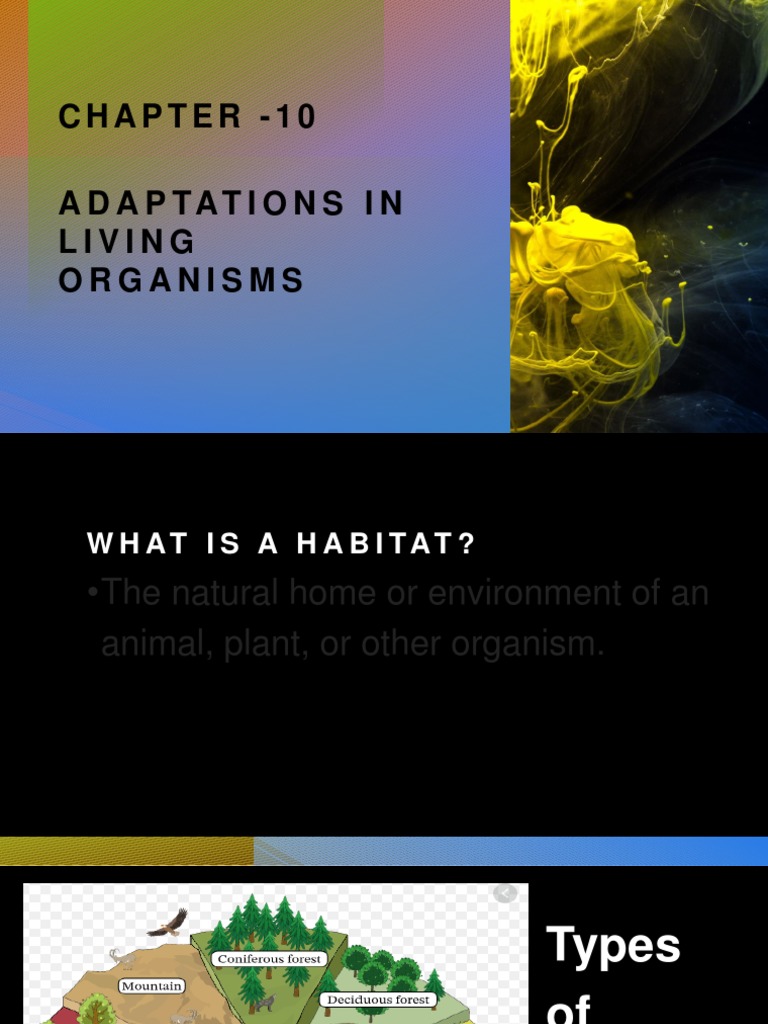Plant Adaptations for Survival | PDF | Plants | Leaf