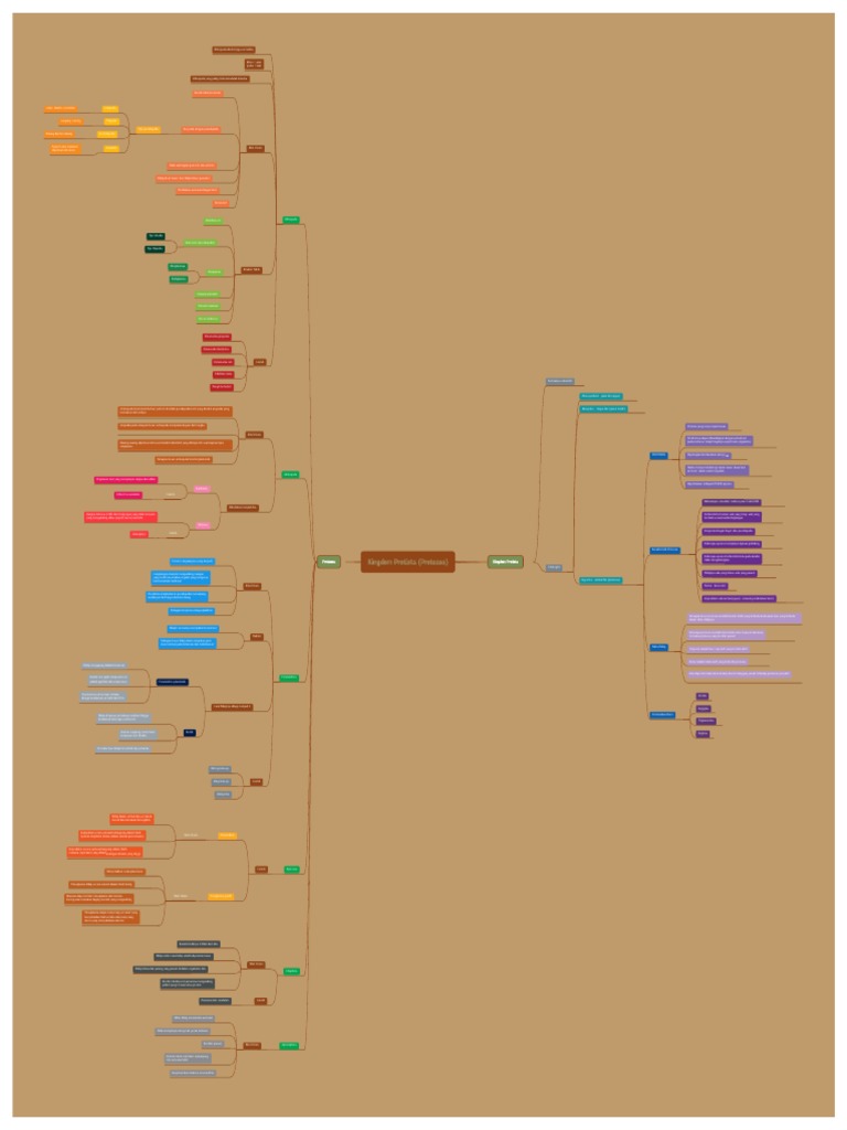 Mind Map Protista Protists Protozoa Unicellular Multicellula