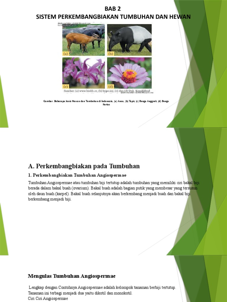 Sistem Perkembangbiakan Tumbuhan Dan Hewan | PDF