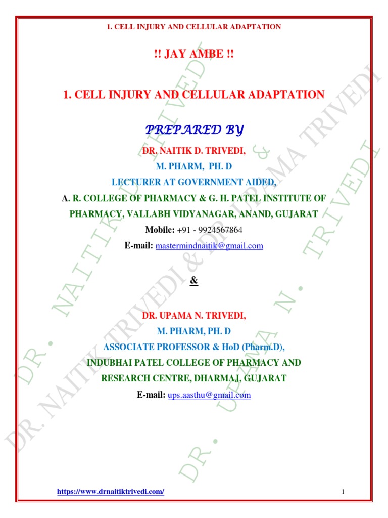 Cell Injury and Cellular Adaptation | PDF | Apoptosis | Cell Cycle