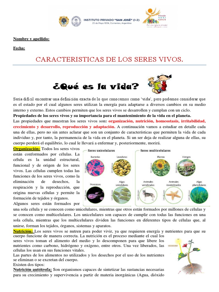 Características Esenciales de los Seres Vivos | PDF | Nutrientes ...