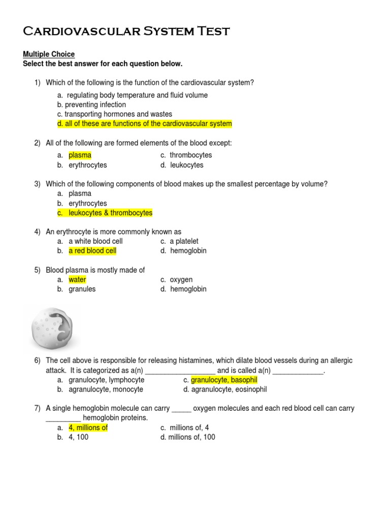 Cardiovascular System | PDF | Atrium (Heart) | Heart