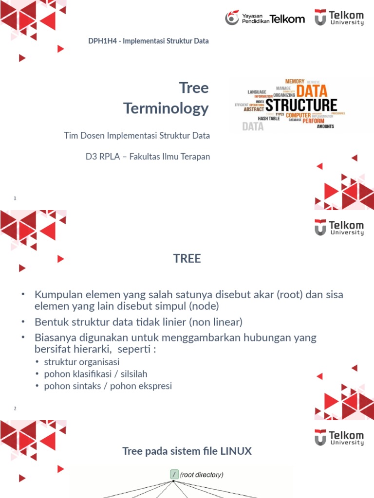 Tree Terminology | PDF