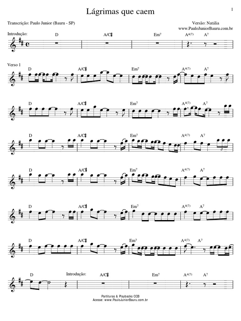 Lagrimas Que Caem | PDF