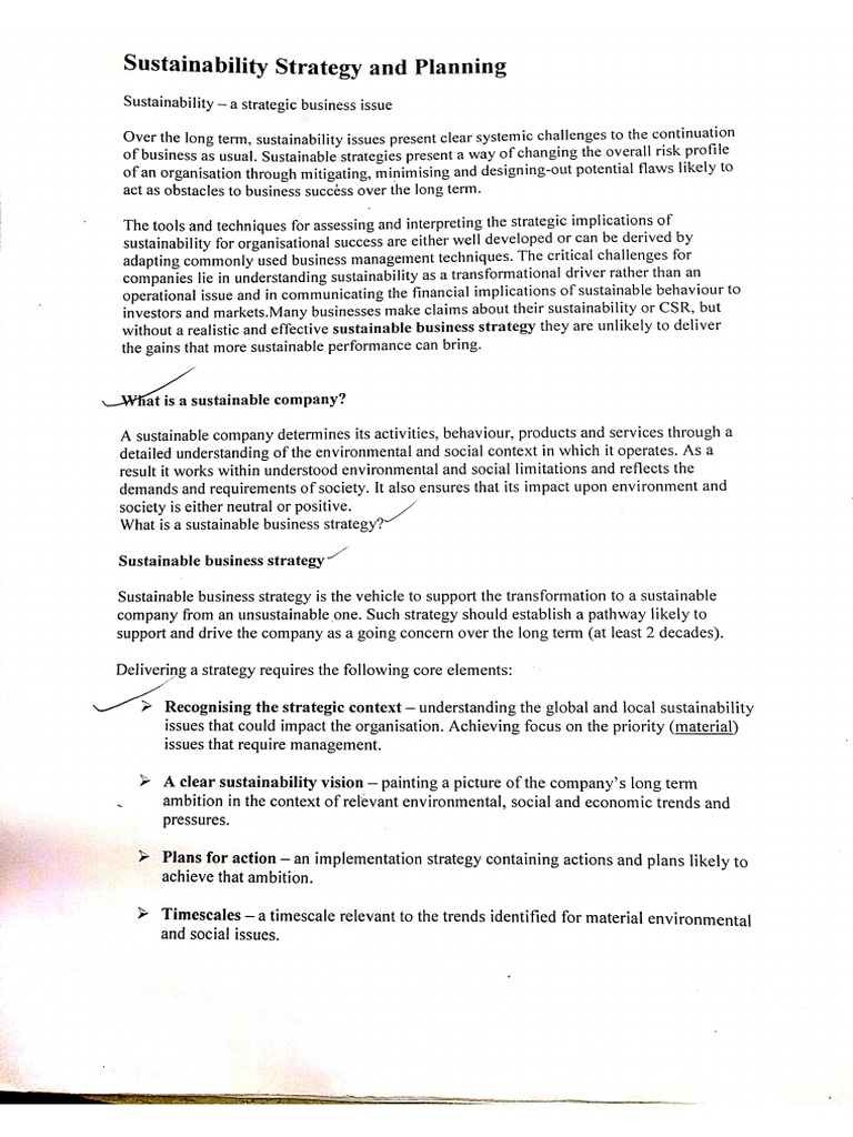 Sustainable Strategy and Planning | PDF