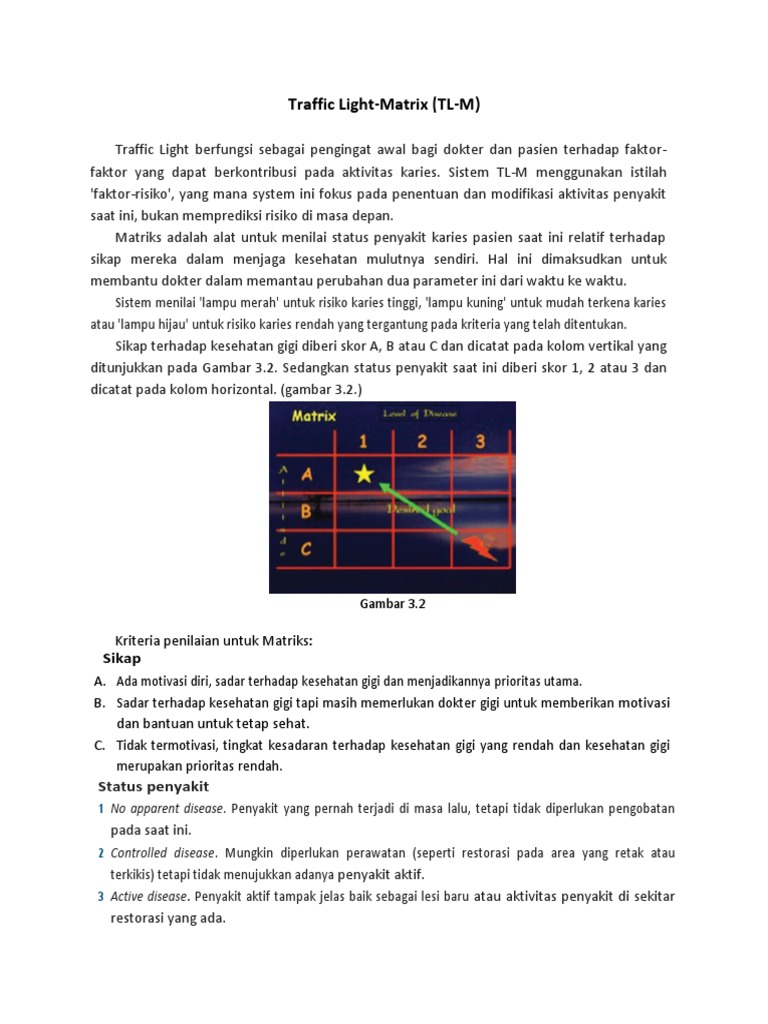 Traffic Light Matrix | PDF