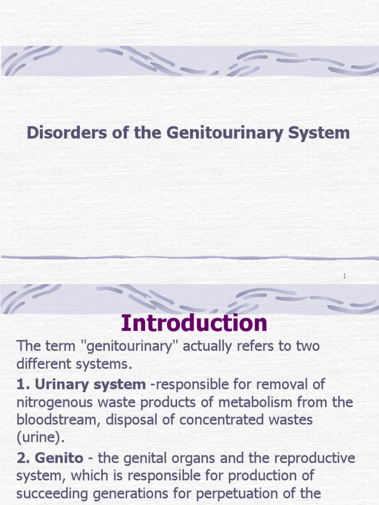 Genitourinary System Disorders Overview | PDF | Urinary Tract Infection ...