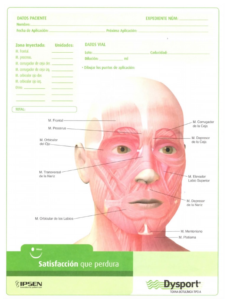 003 - Ficha Punciones | PDF