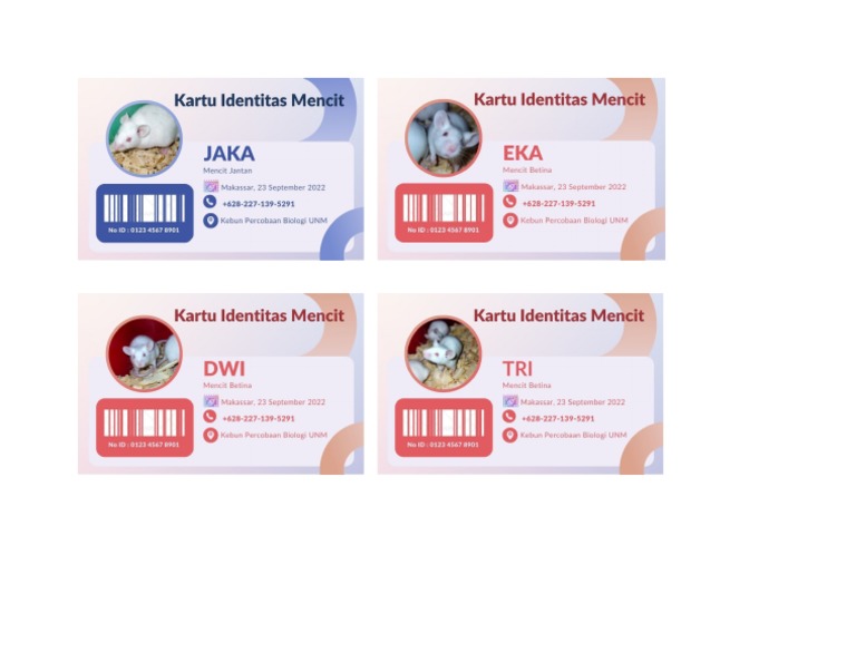 Kartu Identitas Mencit | PDF