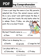 CVC Reading Comprehension | PDF | Animals And Humans