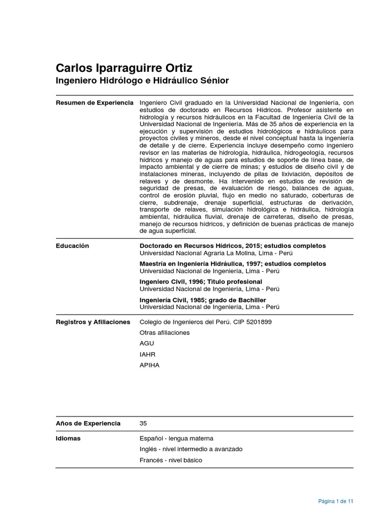 CV Sin Formato - Carlos Iparraguirre - 20220522 | PDF | Hogar ...