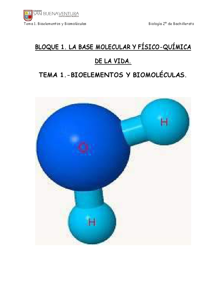 Tema 1 Bioelementos y Biomoléculas Compressed | PDF | Propiedades del agua | Polaridad química