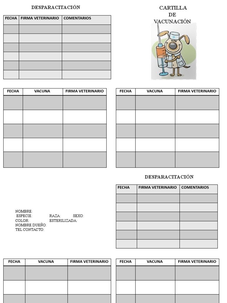 CARNET | PDF