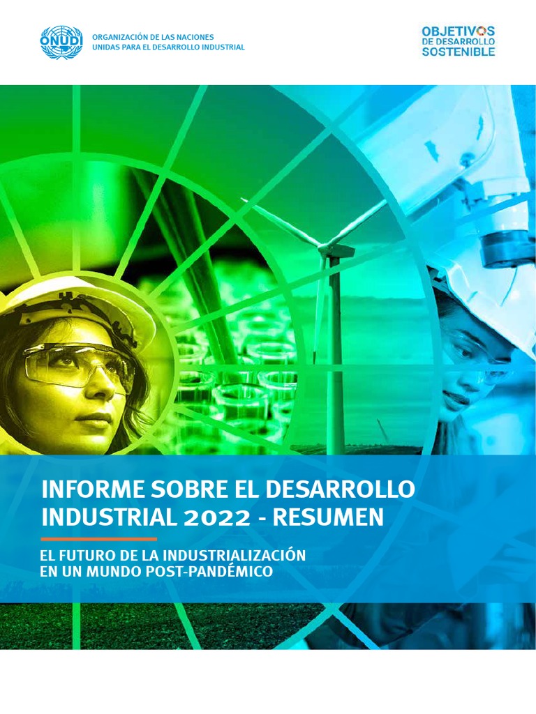 Idr 2022 Onudi | PDF | Desigualdad social | Discriminación y relaciones ...