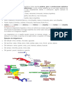 25 Ejemplos de Regionalismos Mexicanos | PDF