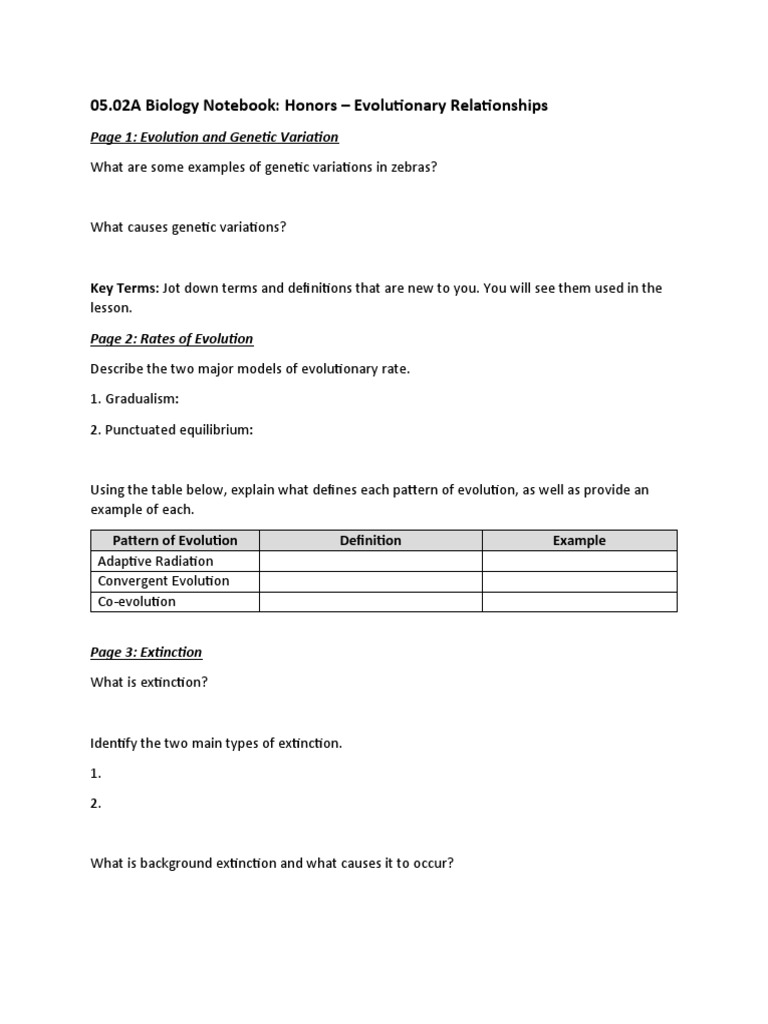 05 02a Evolutionary Relationships Honors | PDF | Evolution | Mutation
