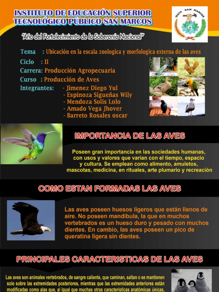 Aves | PDF