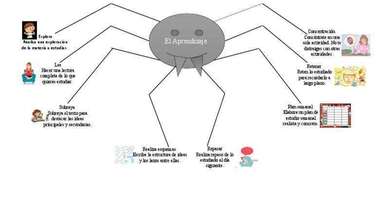 Diagrama Araña | PDF Diagrama Araña | PDF
