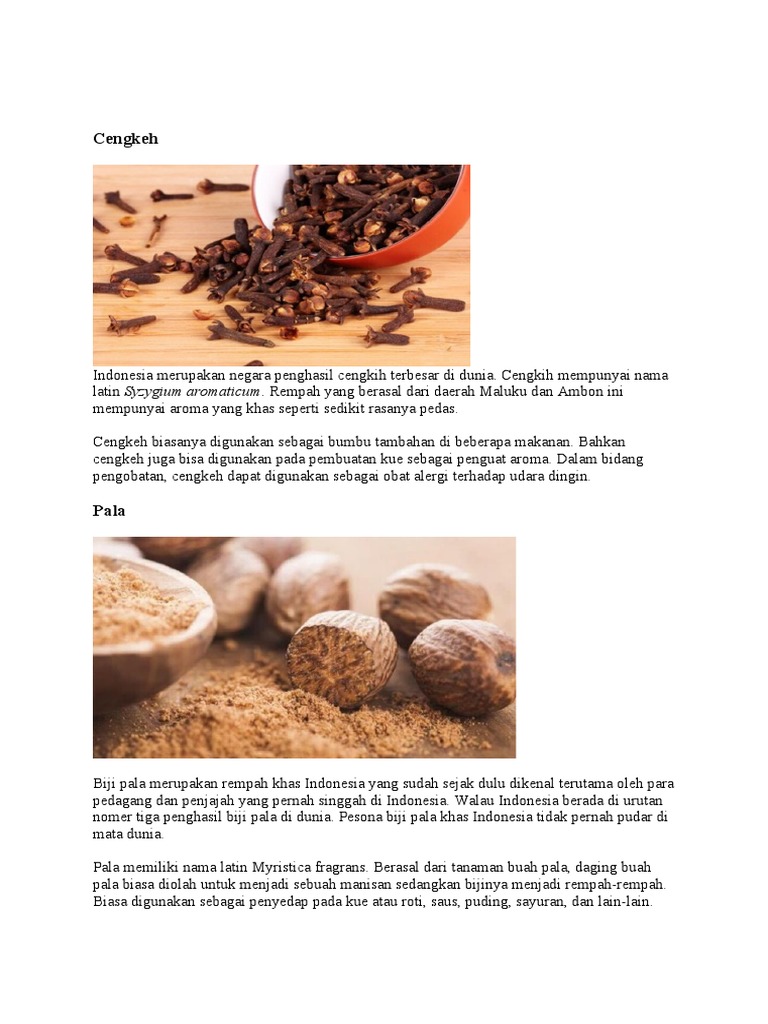 Rempa 2 | PDF | Griya & Taman | Sains & Matematika