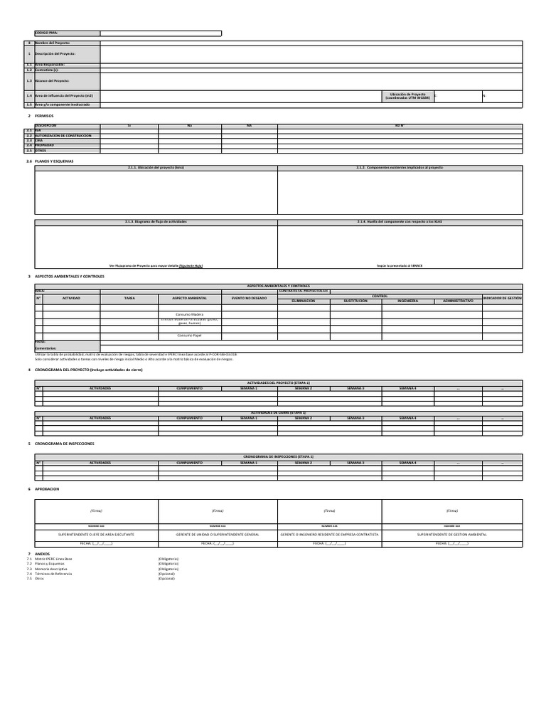 Formato de PMA - Edit - Dic21 | PDF