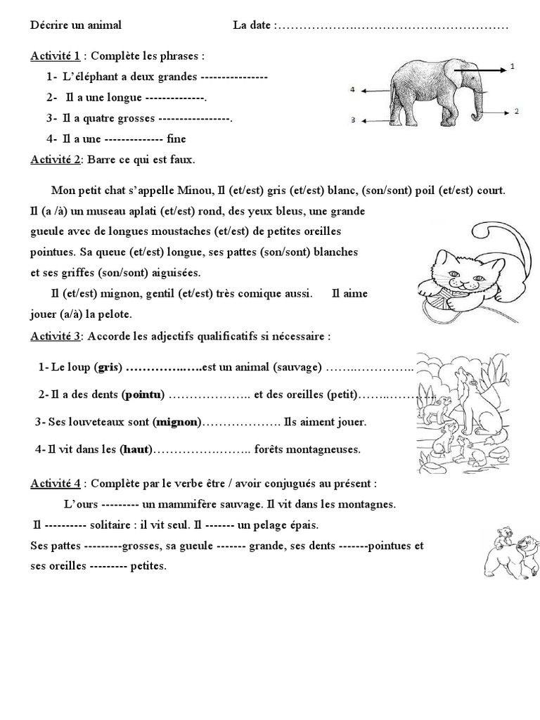Decrire Un Animal | PDF