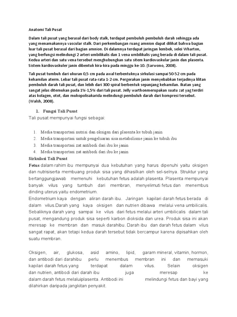 Anatomi Tali Pusat | PDF