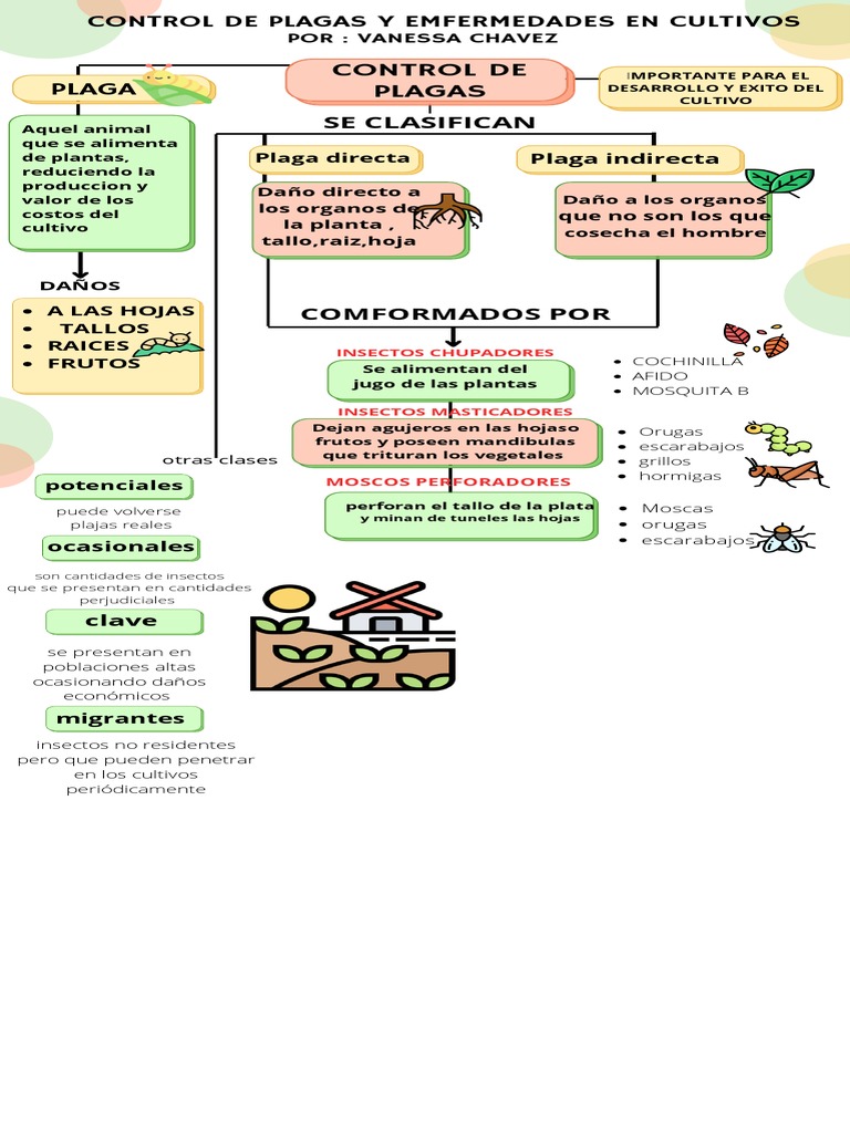 Mapa Conceptual - Plagas | PDF | Plaga (organismo) | Insectos