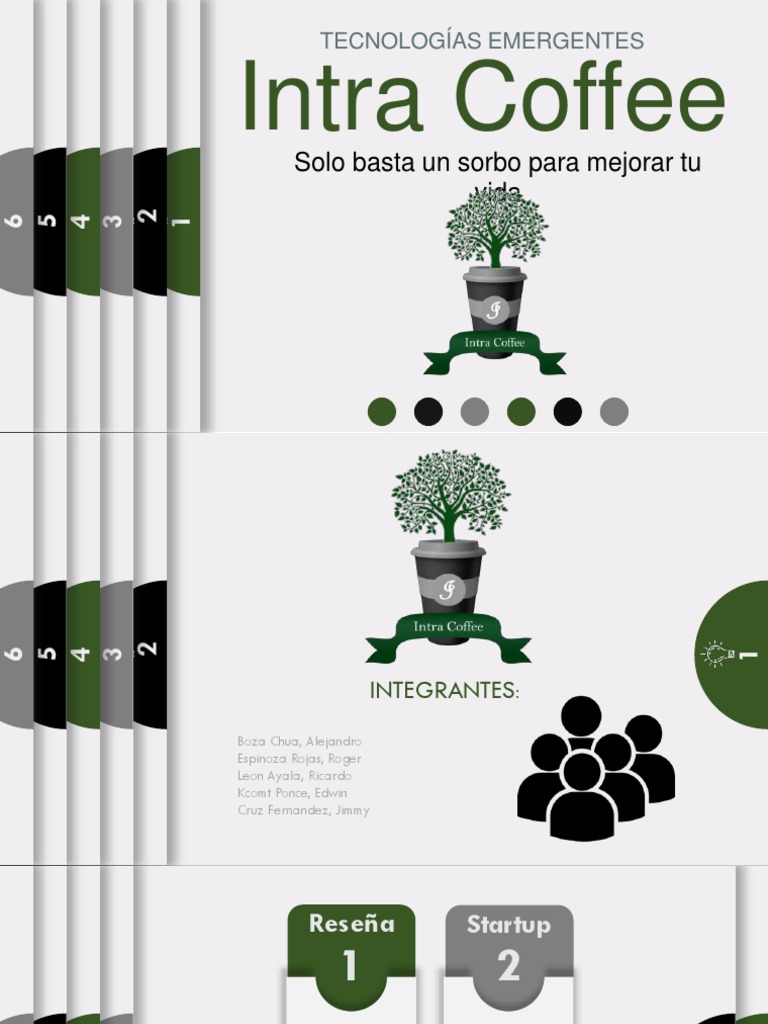 Intra Coffee | PDF | Business | Economias