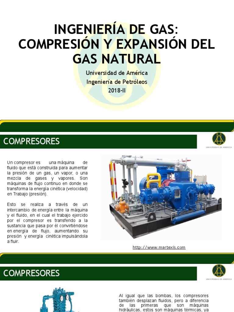 Compresión y Expansión Del Gas | Descargar gratis PDF | Gases | Naturaleza