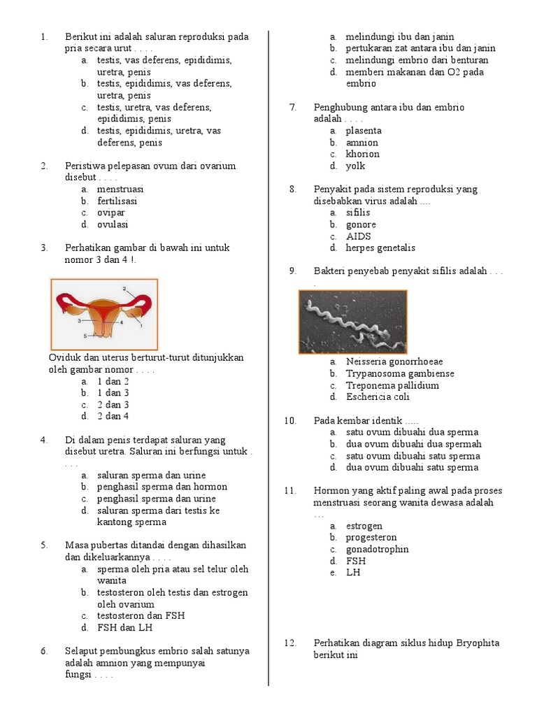 Soal Reproduksi Manusia Kelas 9 SMP | PDF