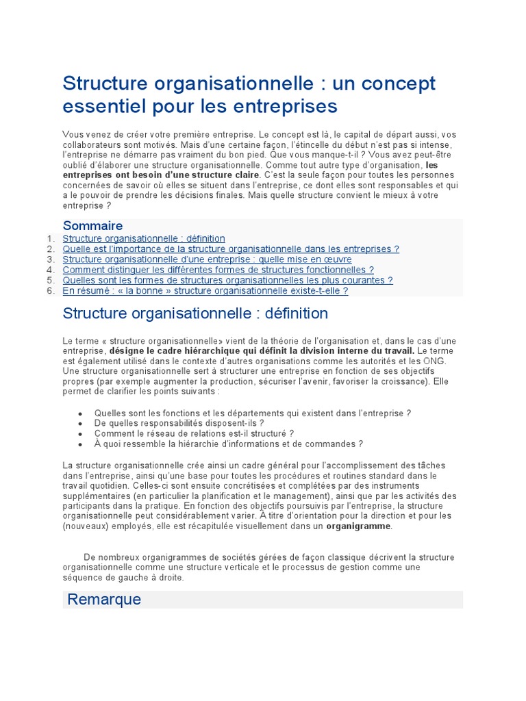 Structure Organisationnelle | PDF | Business | Commercialisation