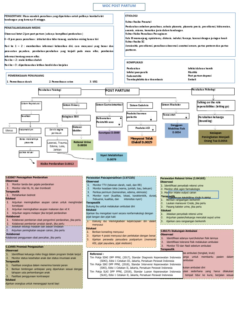 Woc Postpartum Spontan | PDF