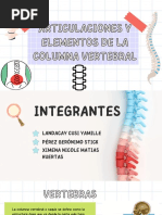 Articulaciones y Ligamentos de La Columna Vertebral | PDF