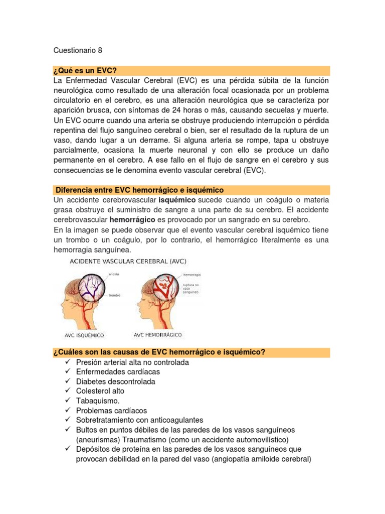 ¿Qué Es Un EVC? | PDF