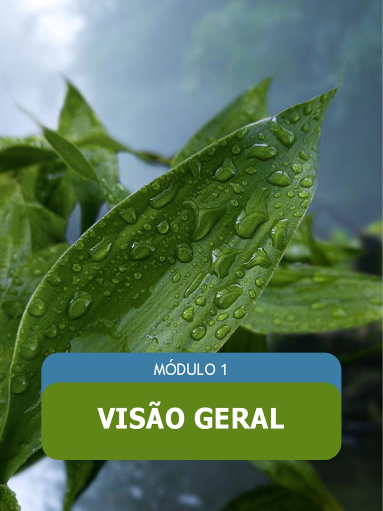 Modulo 1 - Visao Geral | PDF | Rim | Corpo humano