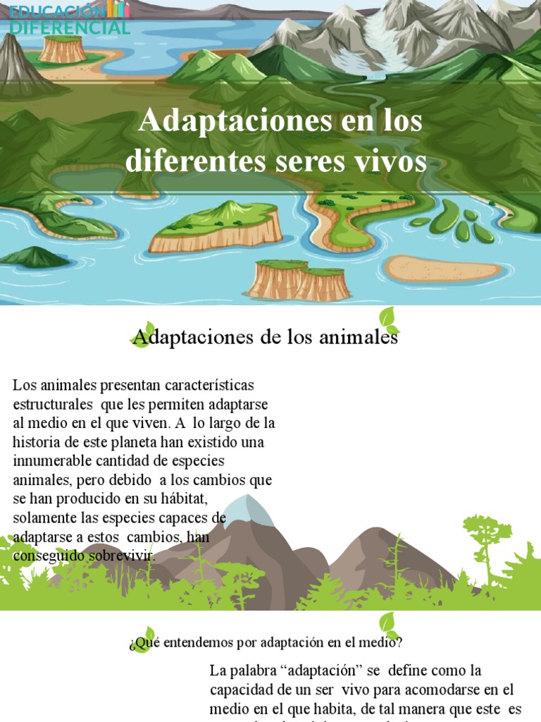 Adaptaciones de Los Seres Vivos | PDF | Aves | Aves de presa