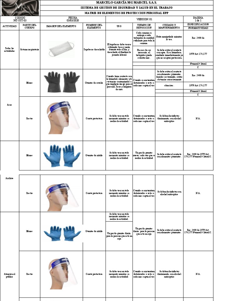 Mt-sst-03 Matriz de Elementos de Proteccion Personal Epp | PDF ...