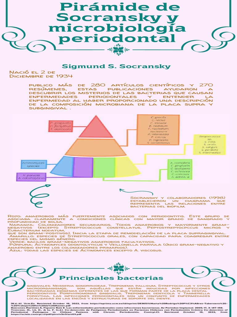 Piramide de Socransky | PDF | Las bacterias | Inmunología
